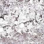 MYSTIC SPRING GRANITE - Accent Countertops